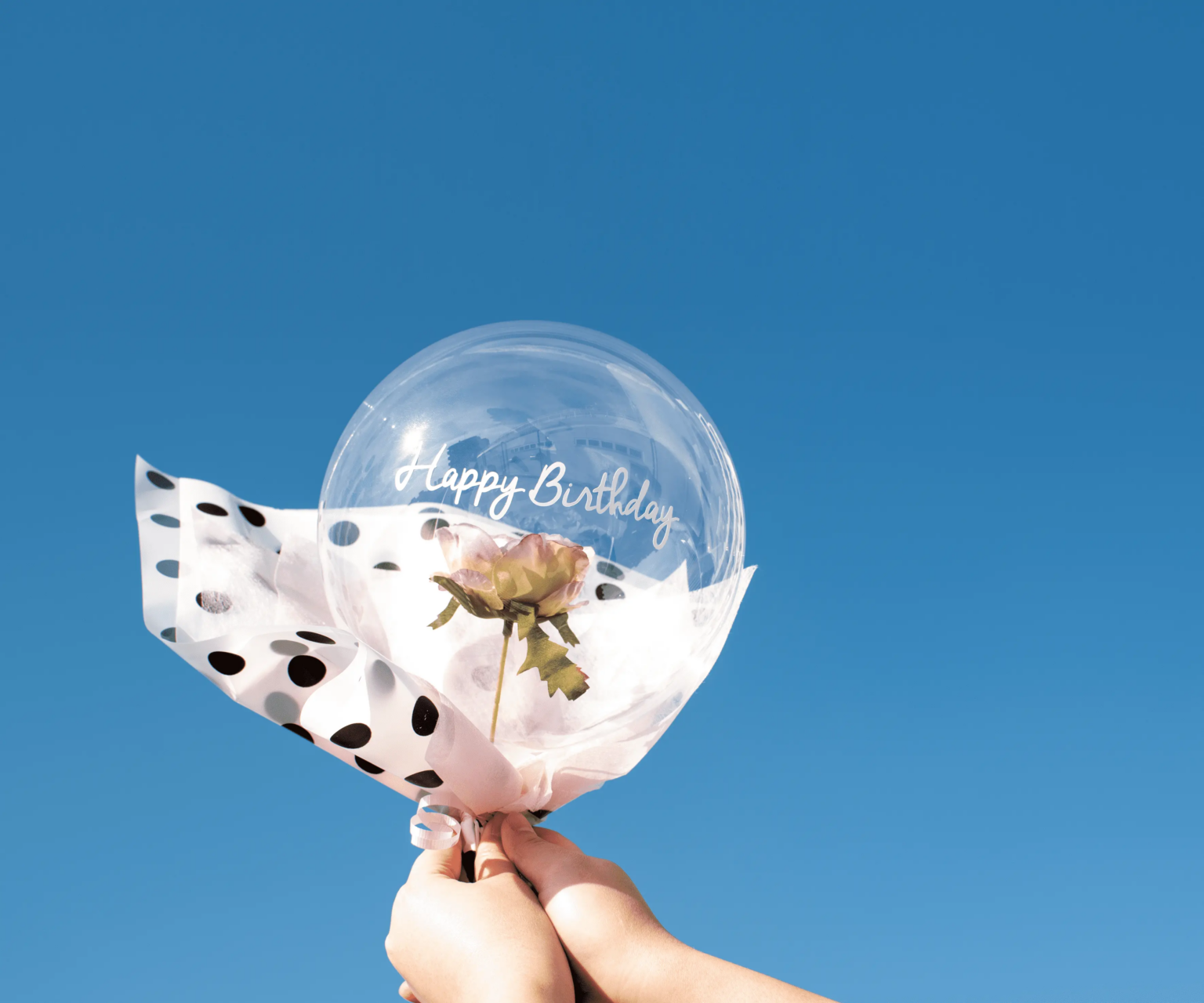 Aqua Balloons Photos - TakaraTec